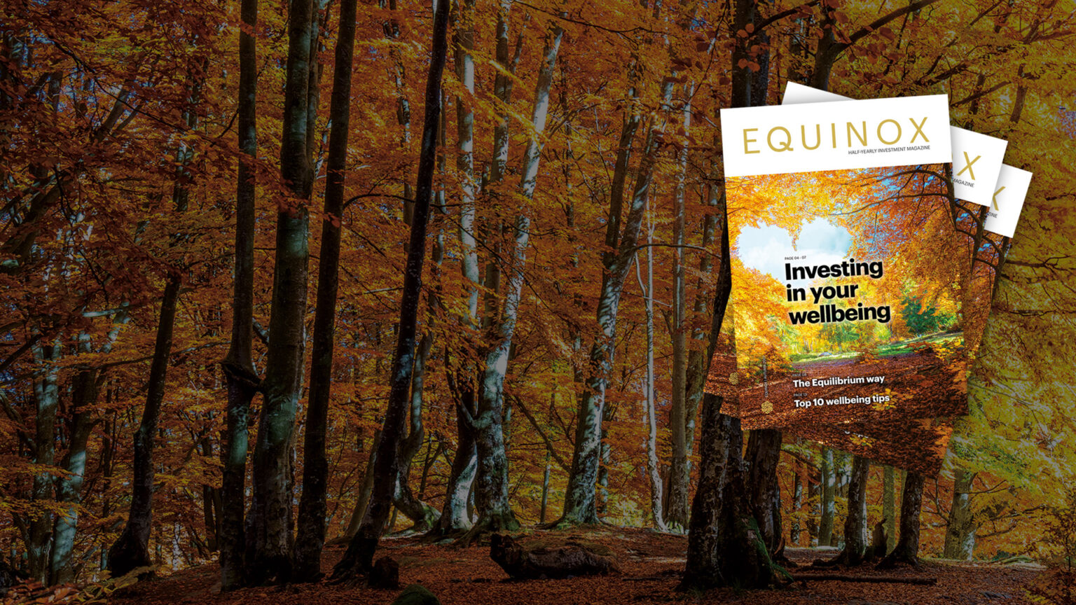 Financial Planning in Cheshire - Equilibrium