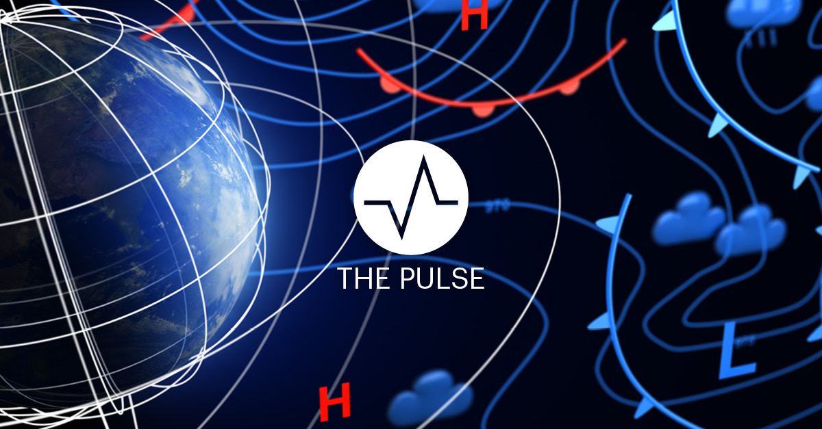 The Pulse - January 2023