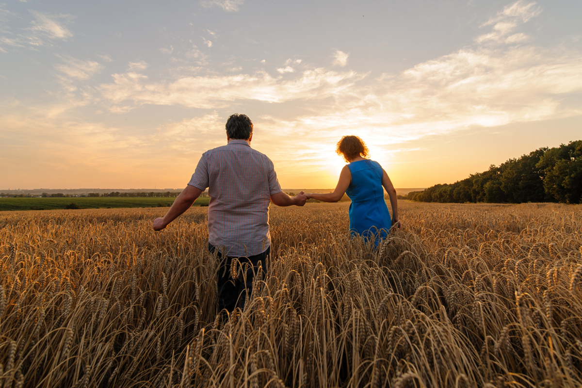 Financial planning - Equilibrium